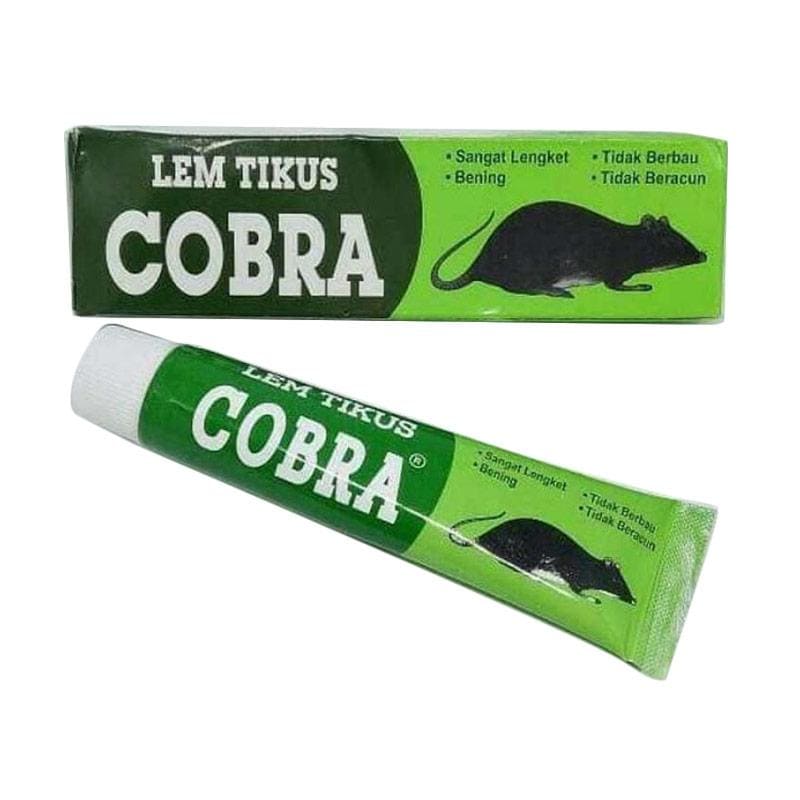 10 Produk Lem Tikus Paling Ampuh dan Terbaik