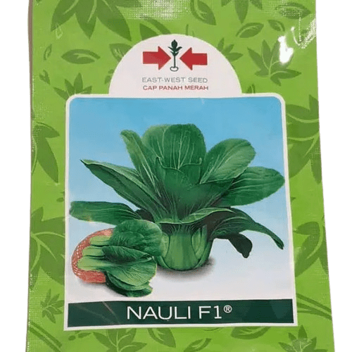 10 Rekomendasi Benih Sayur Terbaik dengan Hasil Berkualitas