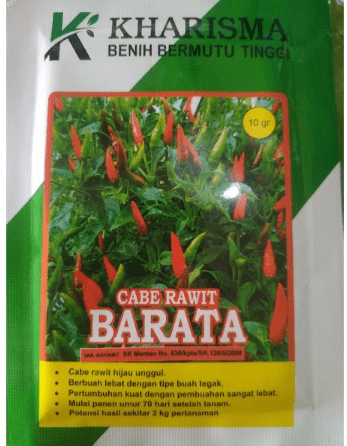 10 Rekomendasi Bibit Cabe Rawit Terbaik dan Berkualitas