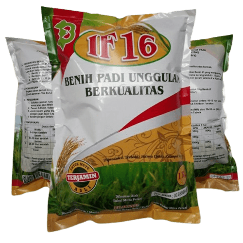 10 Rekomendasi Benih Padi Terbaik yang Berkualitas